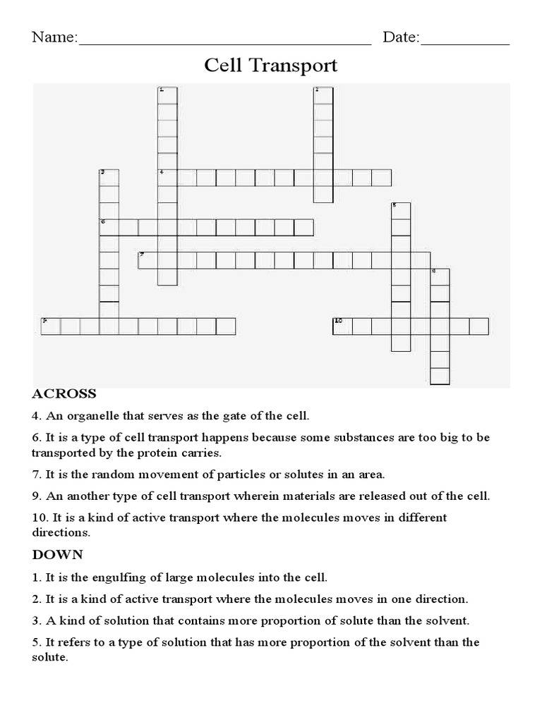 Cell Transport | PDF