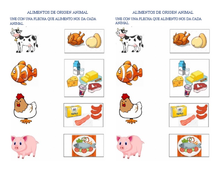 Alimentos de origen animal para niños | PDF
