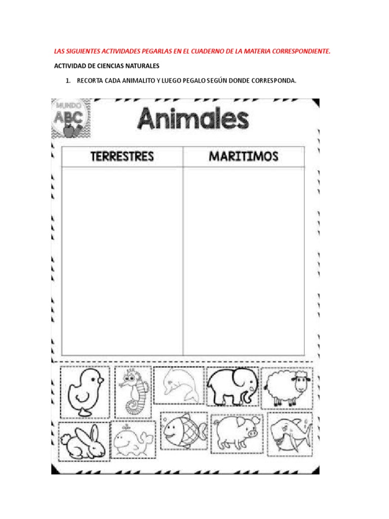 Actividades de Ciencias Naturales y Estudios Sociales | PDF