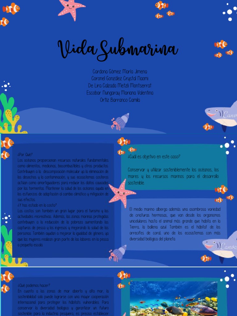 Vida Submarina | PDF | Mar | Biodiversidad