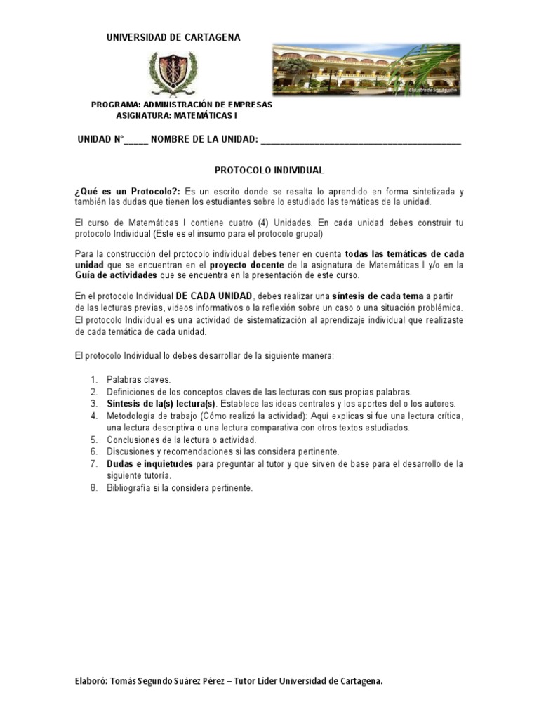 Protocolo Individual | PDF