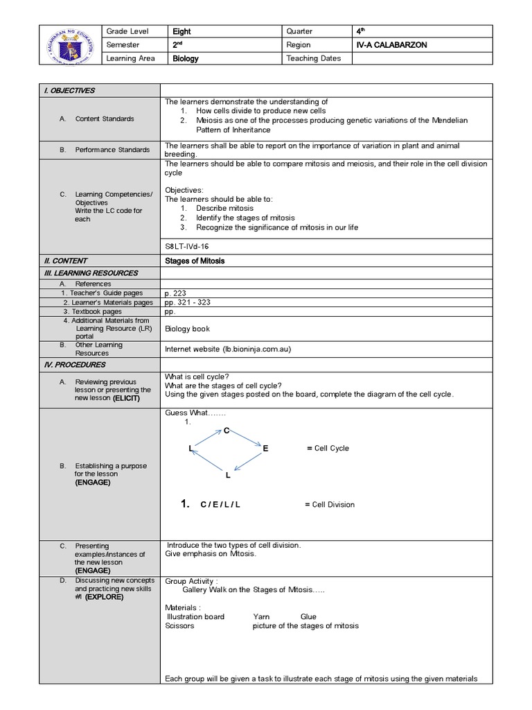 Mitosis Stages Lesson Plan for Grade 8 | PDF | Mitosis | Learning
