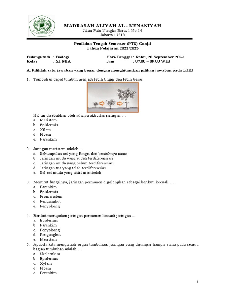 PTS Biologi Ganjil 22-23 - 11 | PDF