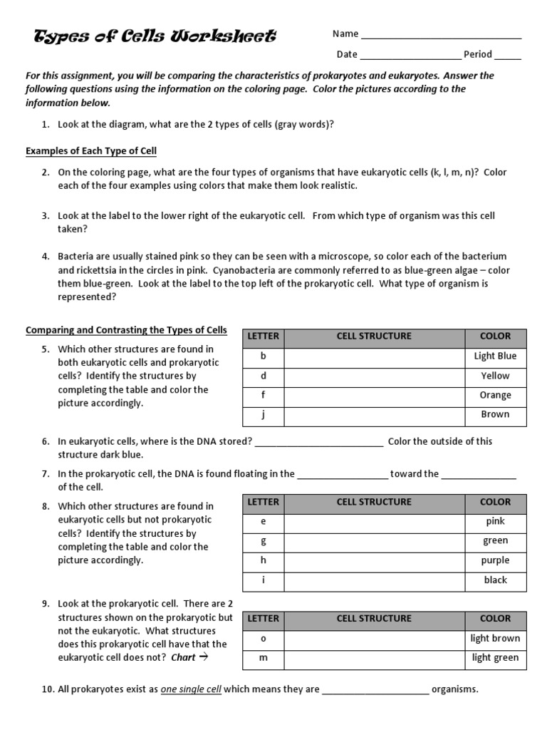 1wkst-Types of Cells Worksheet | PDF | Cell (Biology) | Prokaryote