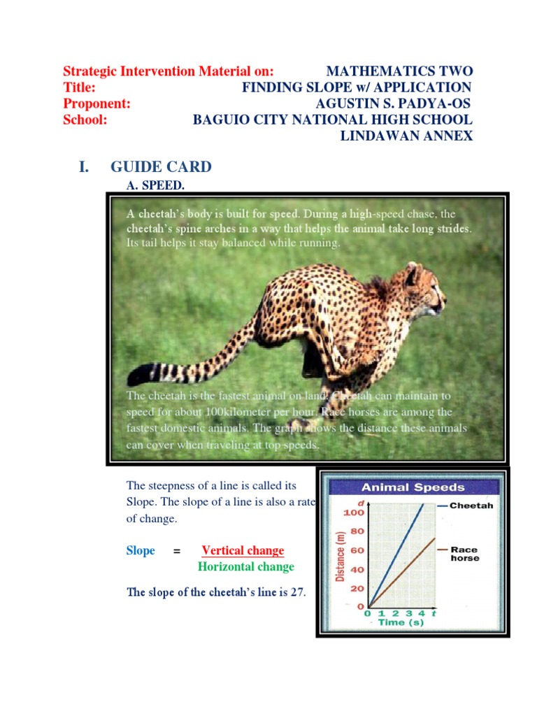 Strategic Intervention Materials For Slope With Application | PDF