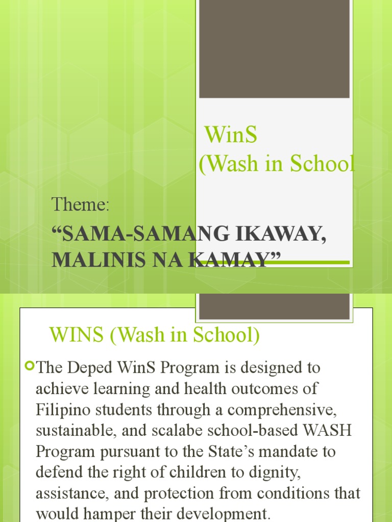 DepEd WinS Program Overview | PDF