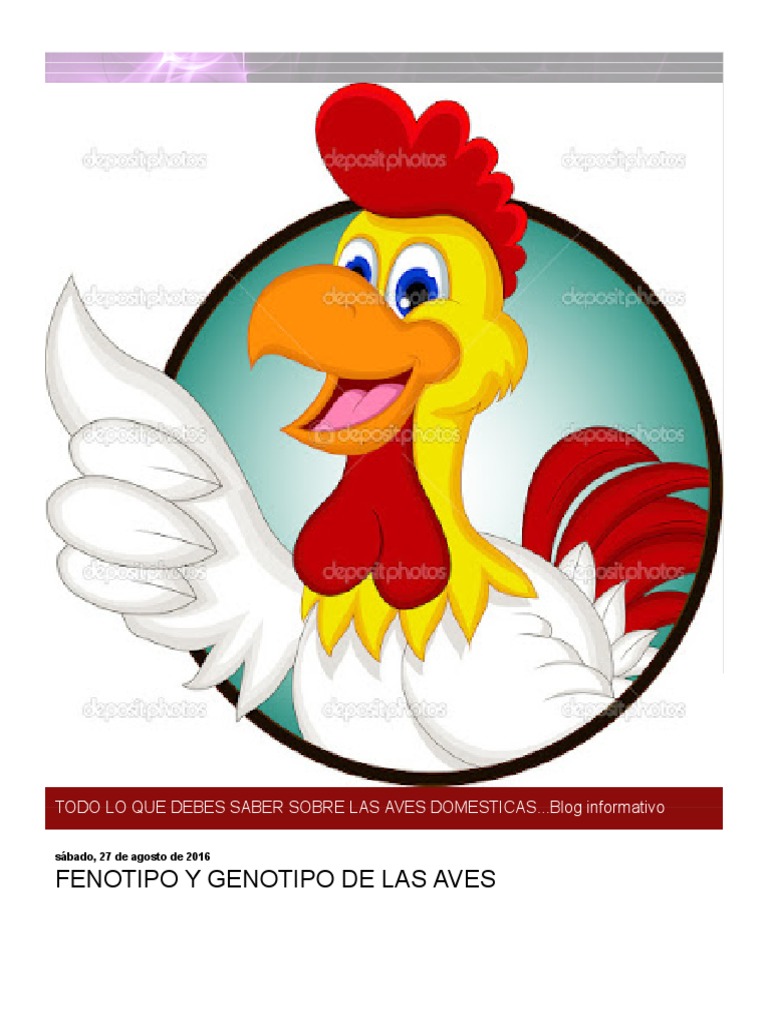 Todo Lo Que Debes Saber Sobre Las Aves Domesticas - Fenotipo y Genotipo de Las Aves | PDF ...