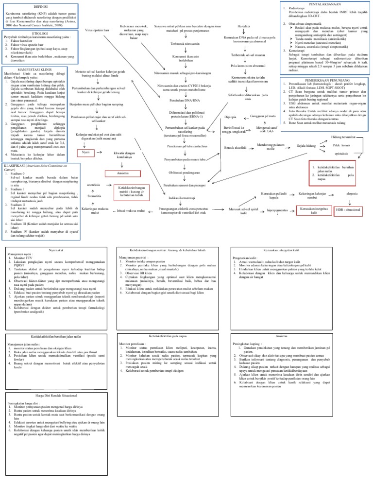 WOC Minggu 5 CA NASOFARING | PDF
