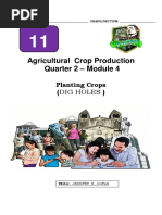 Pechay Production | PDF | Soil | Seed