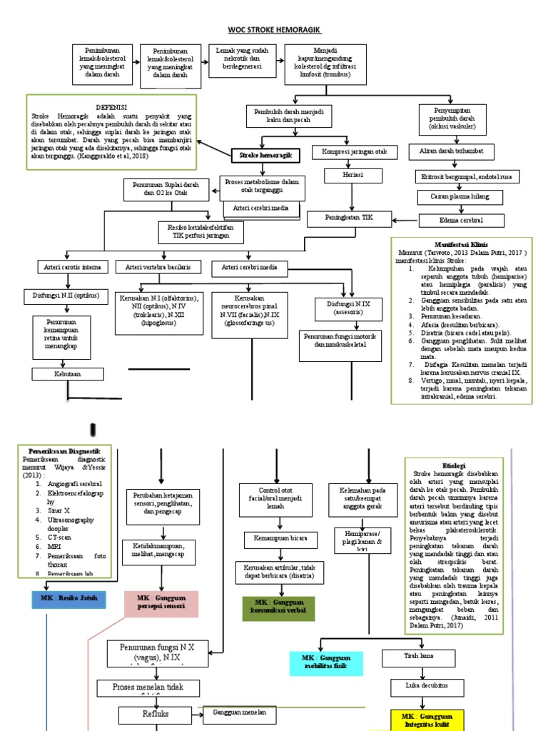 Pathway Stroke Hemoragik dan Manifestasi | PDF
