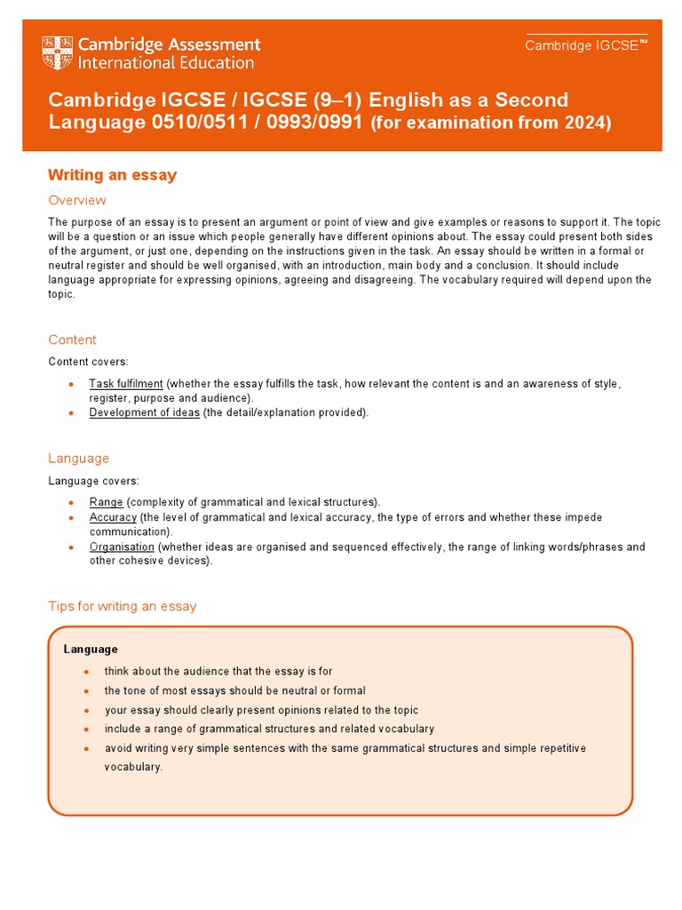 Writing An Essay | PDF | Essays | Argument