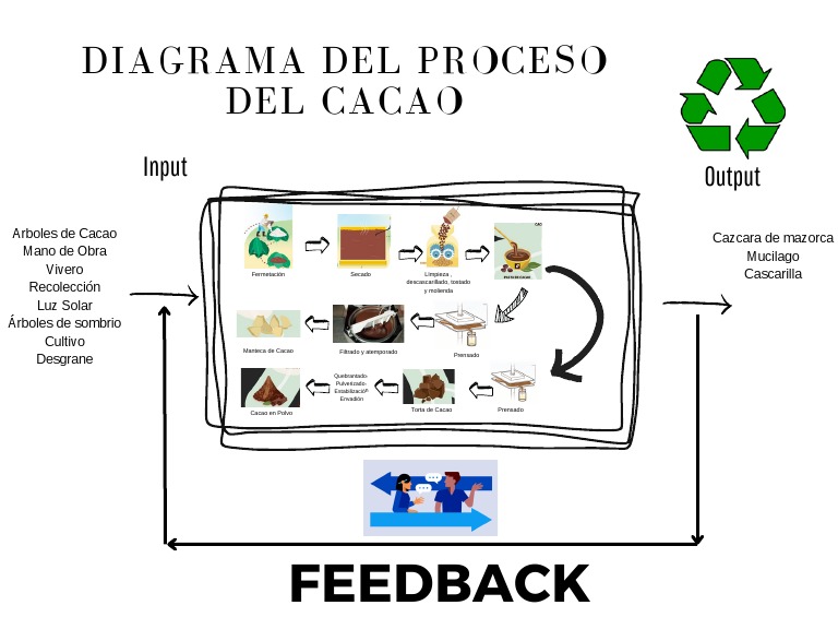 Diagrama de Proceso Del Cacao | PDF