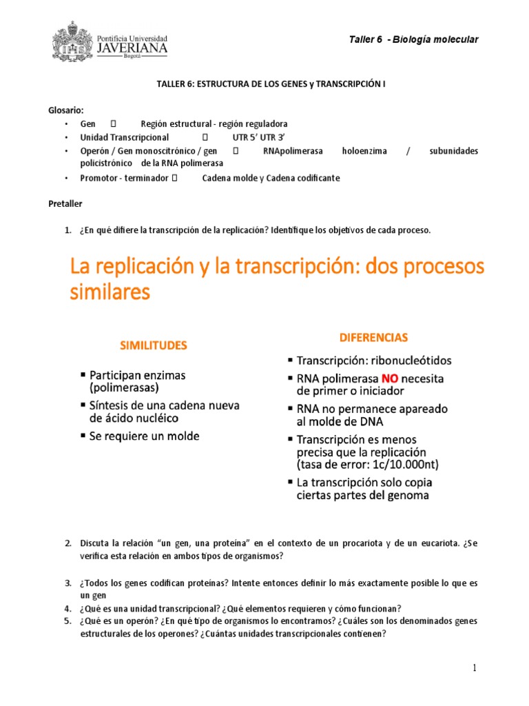 Estructura y Transcripción de Genes | PDF | Gene | Adn