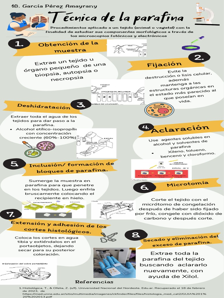 AGP, 2B Histología- Receta de tecnica de la parafina | PDF | Ciencias ...