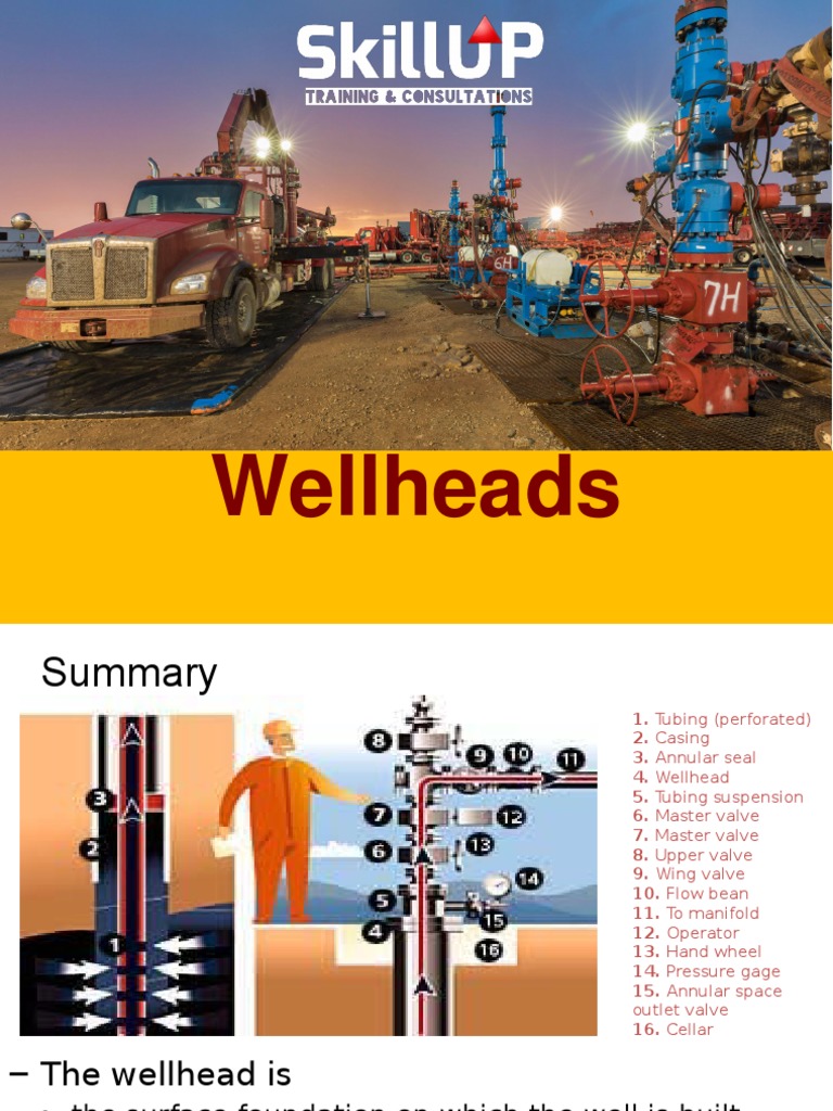 Wellhead | PDF