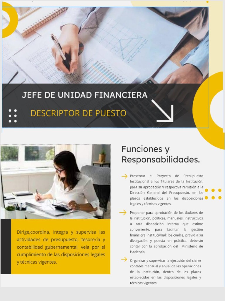 Infografia Jefe de UFI | PDF
