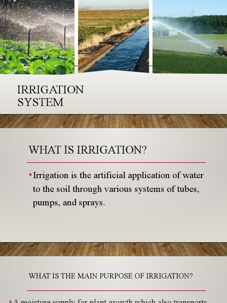 Irrigation System | PDF