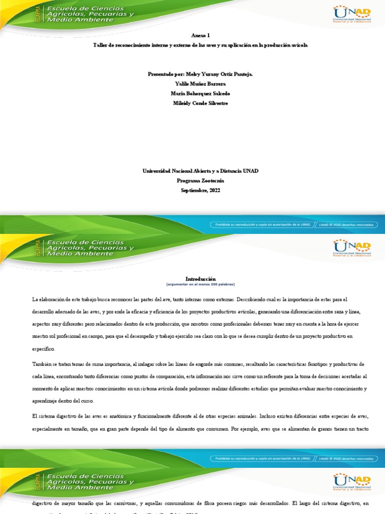 Reconocimiento Aves en Producción Avícola | PDF | Digestión | Sistema ...