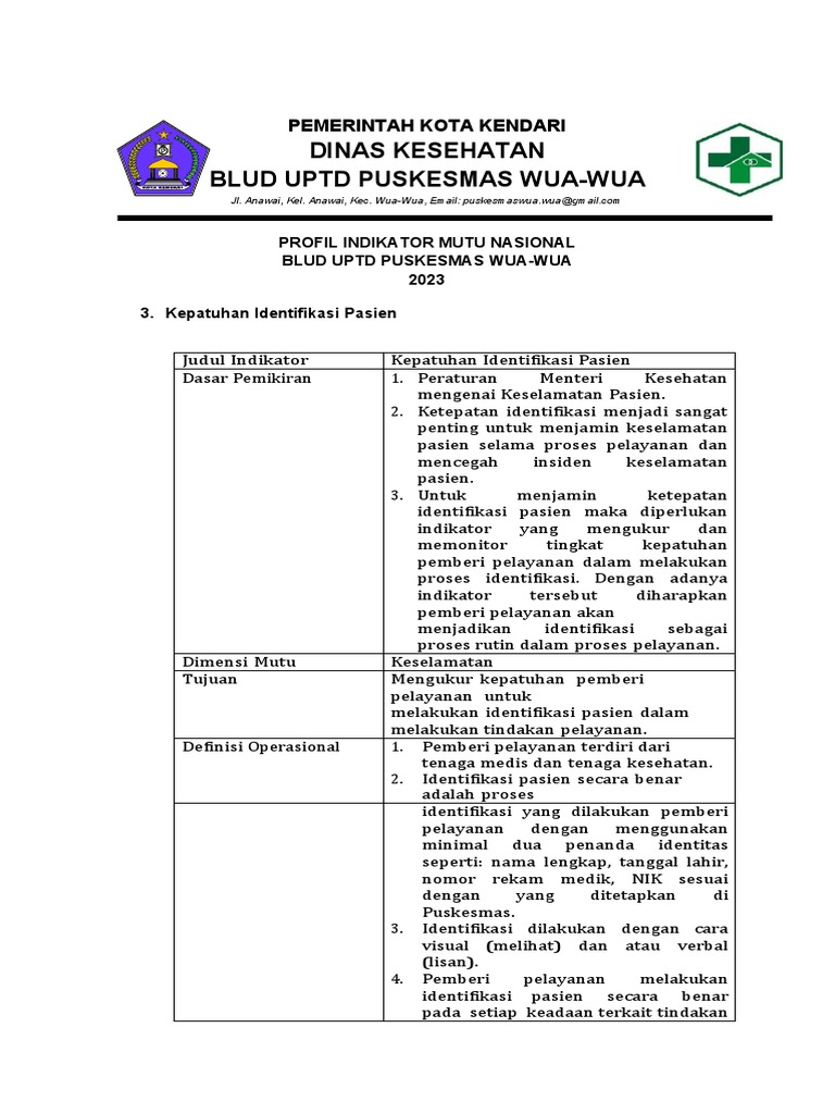 Profil Indikator Inm Identifikasi Pasien | PDF