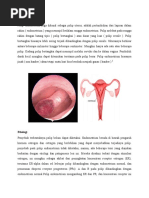 PPK Pua-P (Polip) | PDF