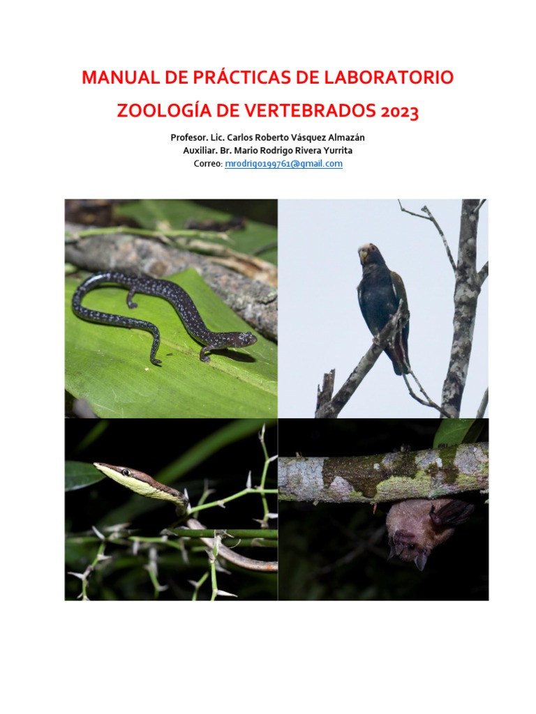 Manual de Prácticas de Zoología de Vertebrados | PDF | Pescado