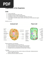 Cell Structure - Class 9th Grade Biology Science Project Free PDF ...