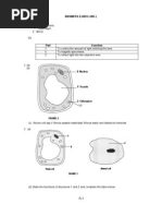 Science Form 3 Textbook Answers | PDF | Respiratory System | Heart