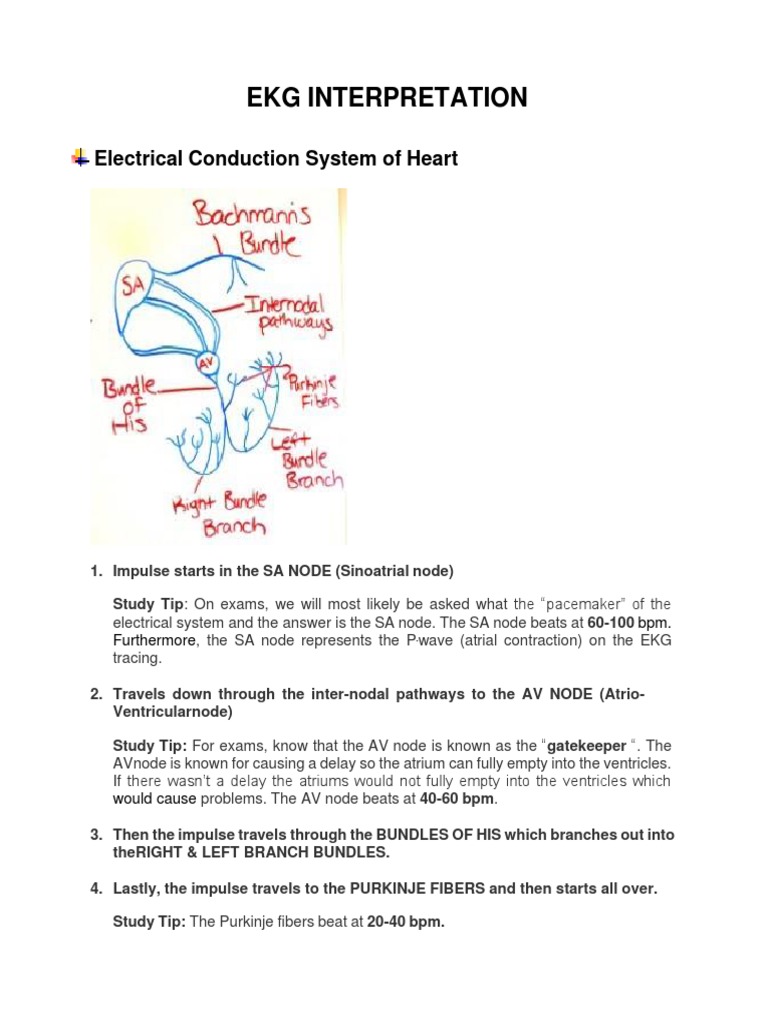 ECG Interpretation | PDF | Electrocardiography | Heart