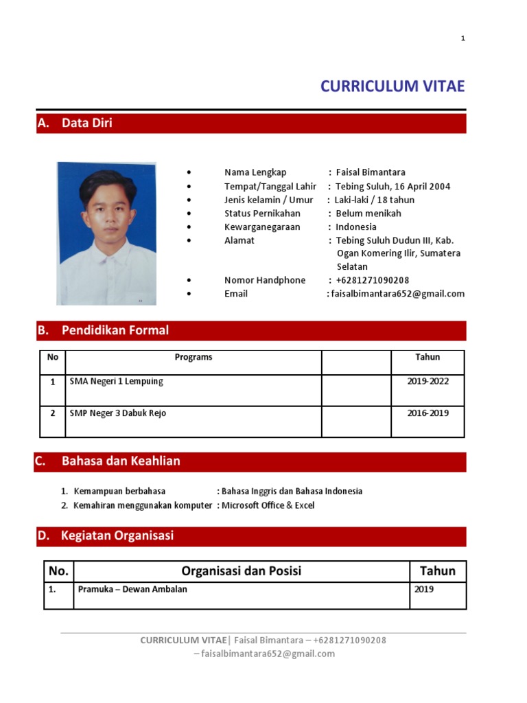 CV Faisal | PDF