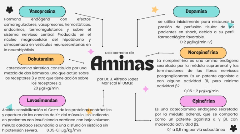 Aminas | PDF | Anatomia animal | Fisiología