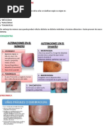 Ficha Técnica Quantrel | PDF | Medicamentos con receta | El embarazo