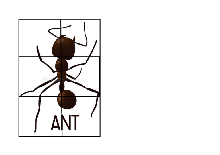 Ant Puzzle | PDF