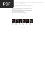 2.queen (Dominio Saga) - Eva Muñoz PDF | PDF