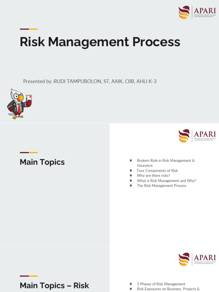 Rudi Tampubolon - Risk Management Process | PDF | Risk Management | Risk