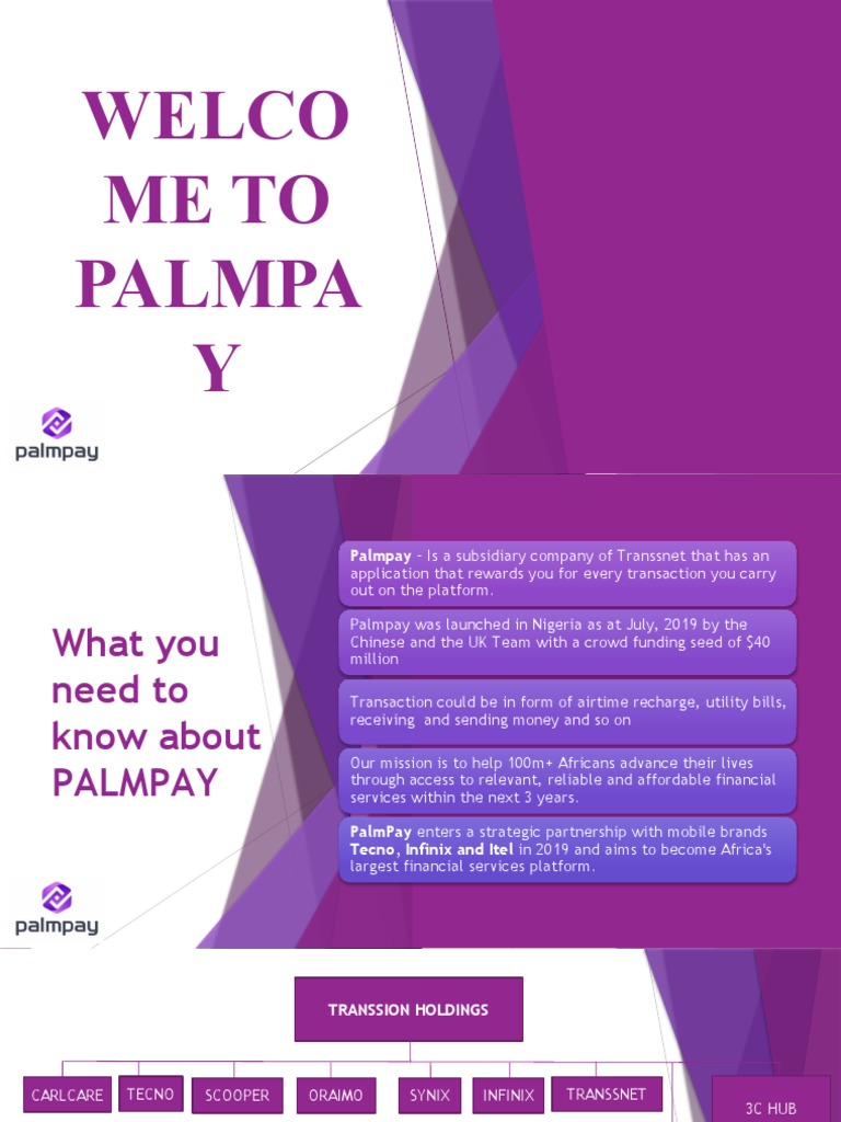 Overview of Palmpay and Transsnet | PDF