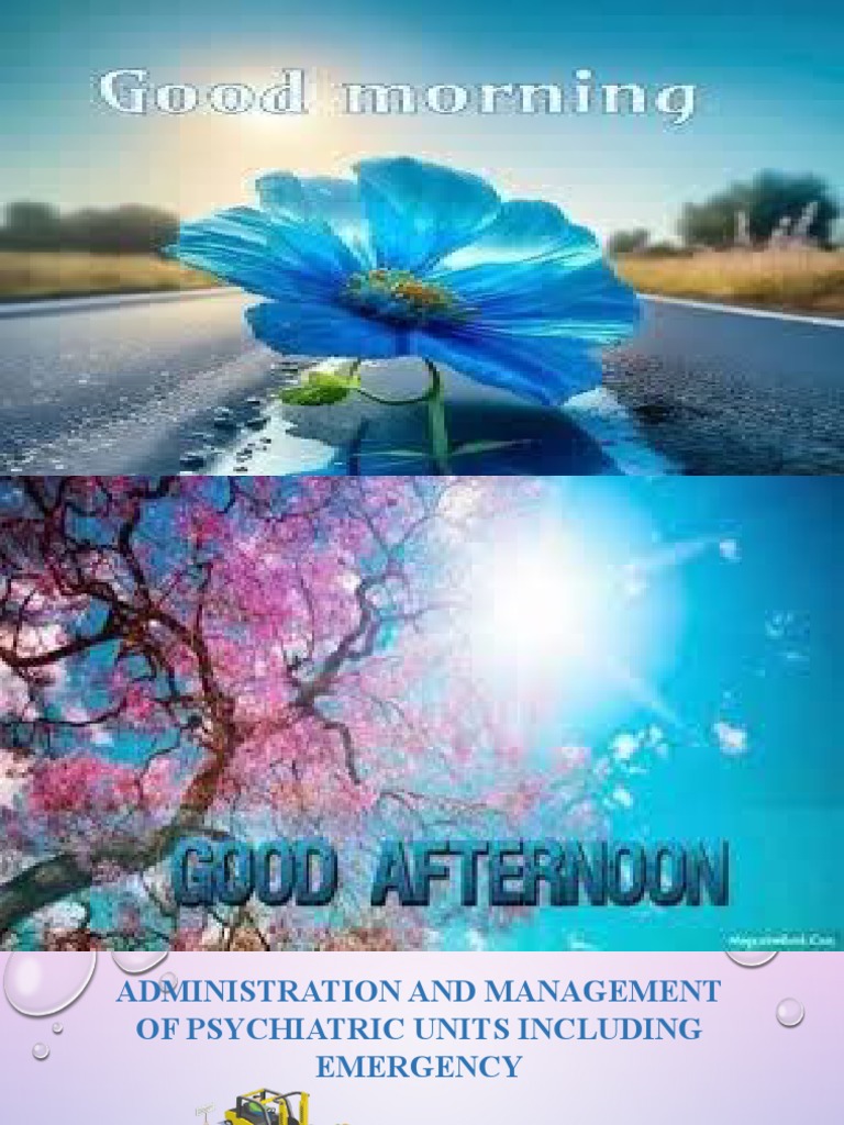 ADMIN ISTRATION AND MANAGEMENT OF MENTAL HEALTH Standard and Quality Final | PDF | Psychiatric ...