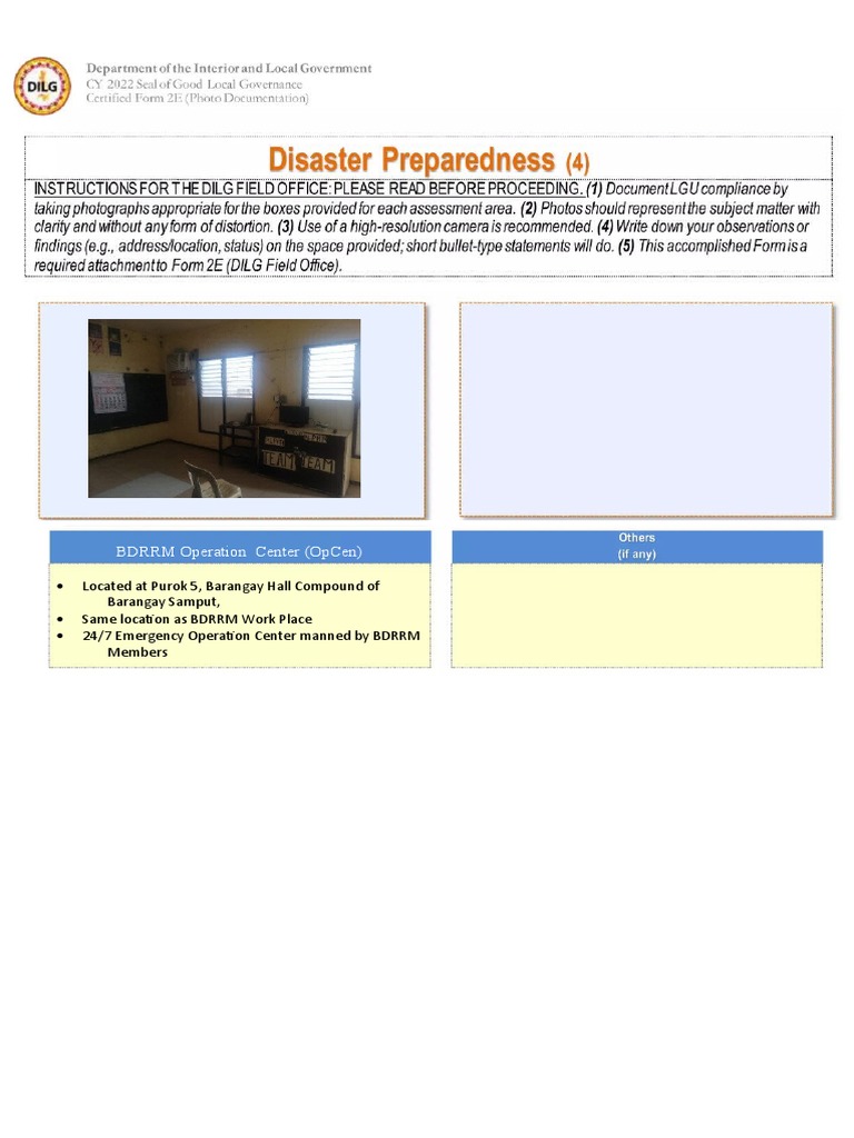 2E Form DILG - BDRRM | PDF