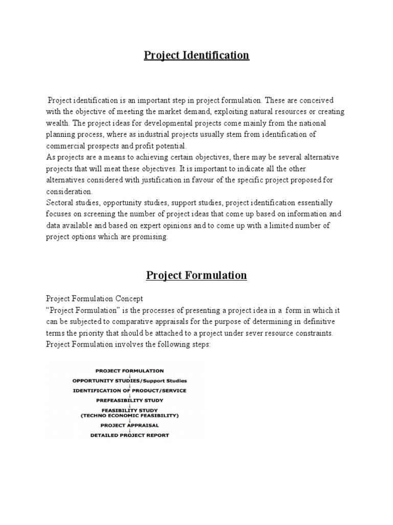 Project Unit 2 | PDF | Feasibility Study | Market (Economics)