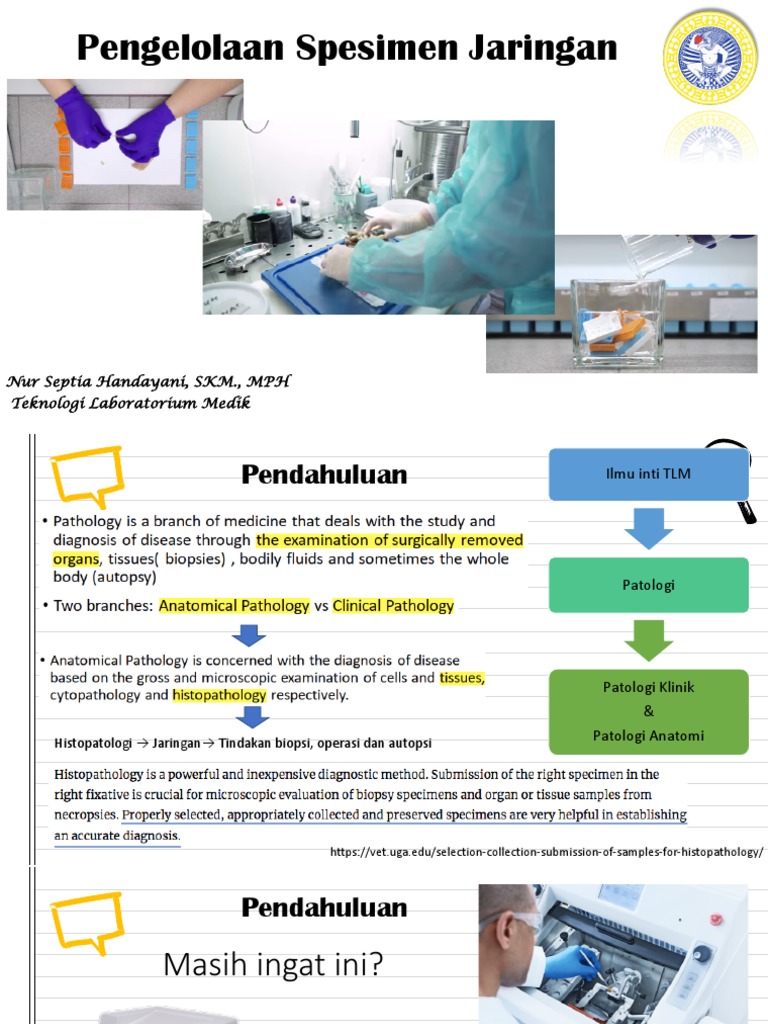 Pengelolaan Spesimen Jaringan | PDF
