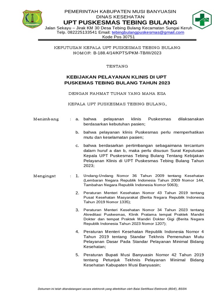 TTE SK Kebijakan Pelayanan Klinis | PDF