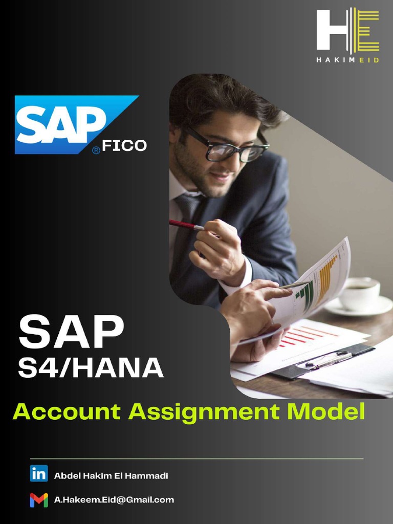Account Assignment Model 1693210116 Pdf