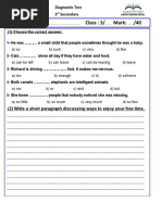 Grade 3 Diagnostic Test | PDF