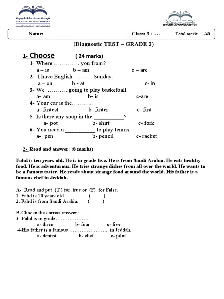 Grade 3 Diagnostic Test with Answers | PDF