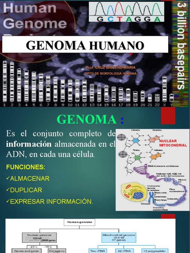 Genoma 2023 | PDF