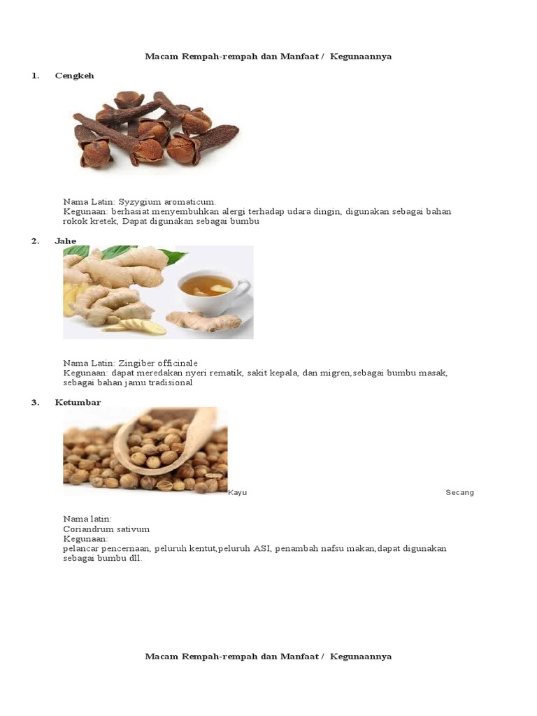 Macam Rempah | PDF