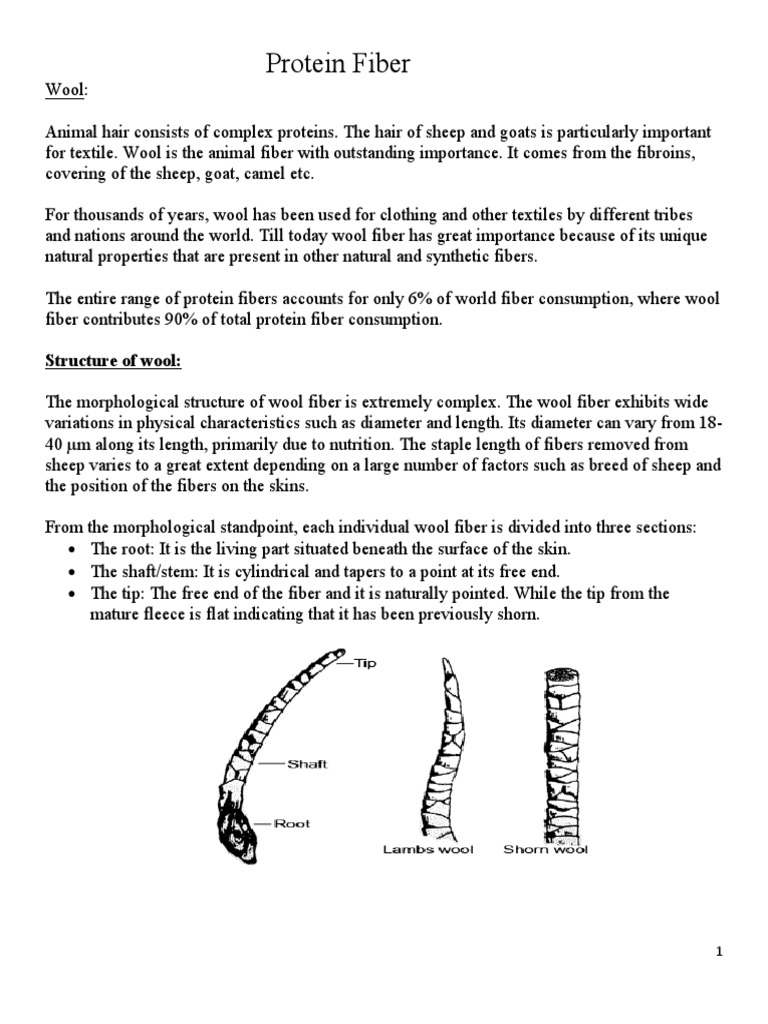 Protein Fiber: Structure of Wool | PDF | Wool | Yarn