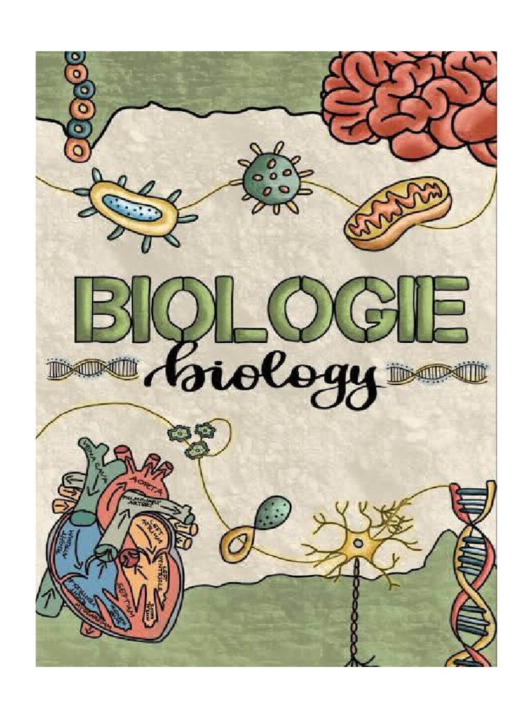 Science Biology | PDF | Flowers | Petal
