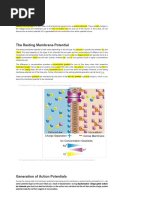 Metaneuron Manual | PDF | Inhibitory Postsynaptic Potential | Membrane ...