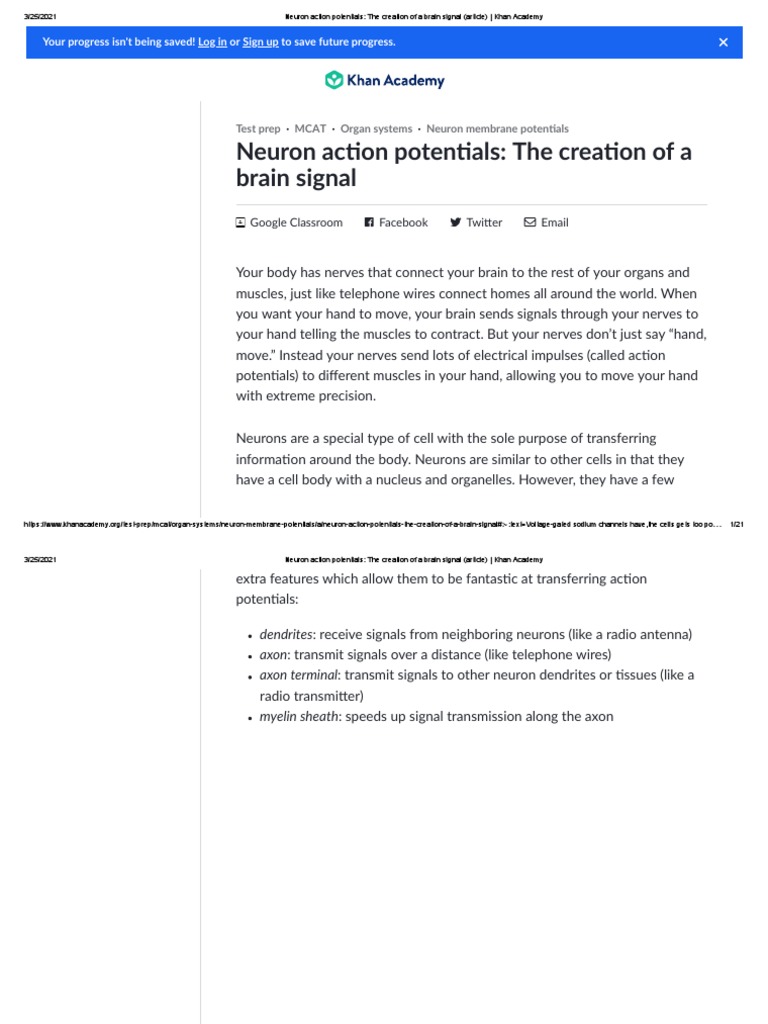 Neuron Action Potentials - The Creation of A Brain Signal (Article ...