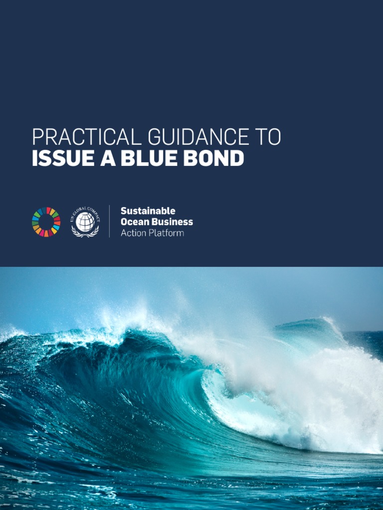 Practical Guidance To Issue A Blue Bond | PDF